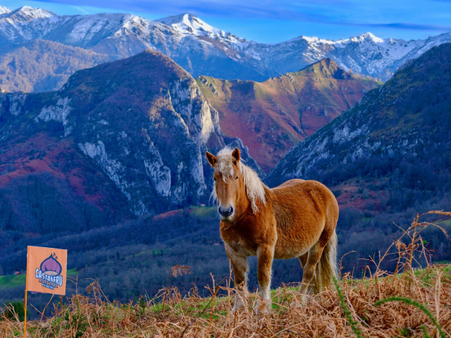 Parque Natural de Redes | Descubre la Reserva de la Biosfera de Redes